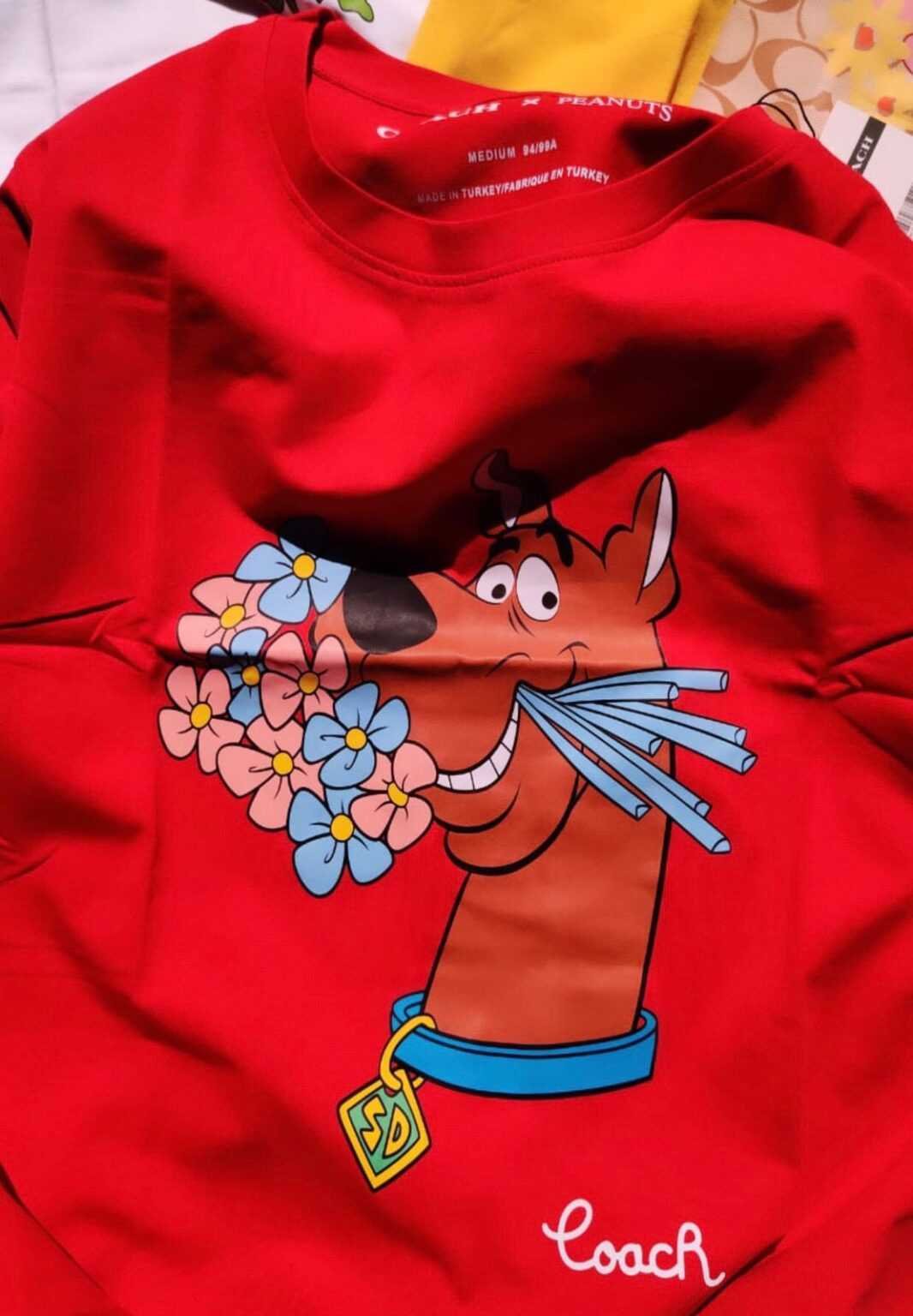 Scooby doo coach tees. - Select and You